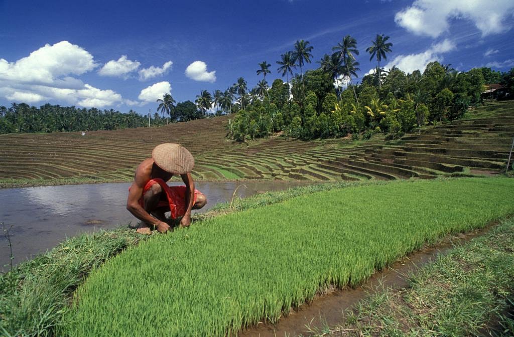 Managing microclimates — a ‘third way’ to combat climate change