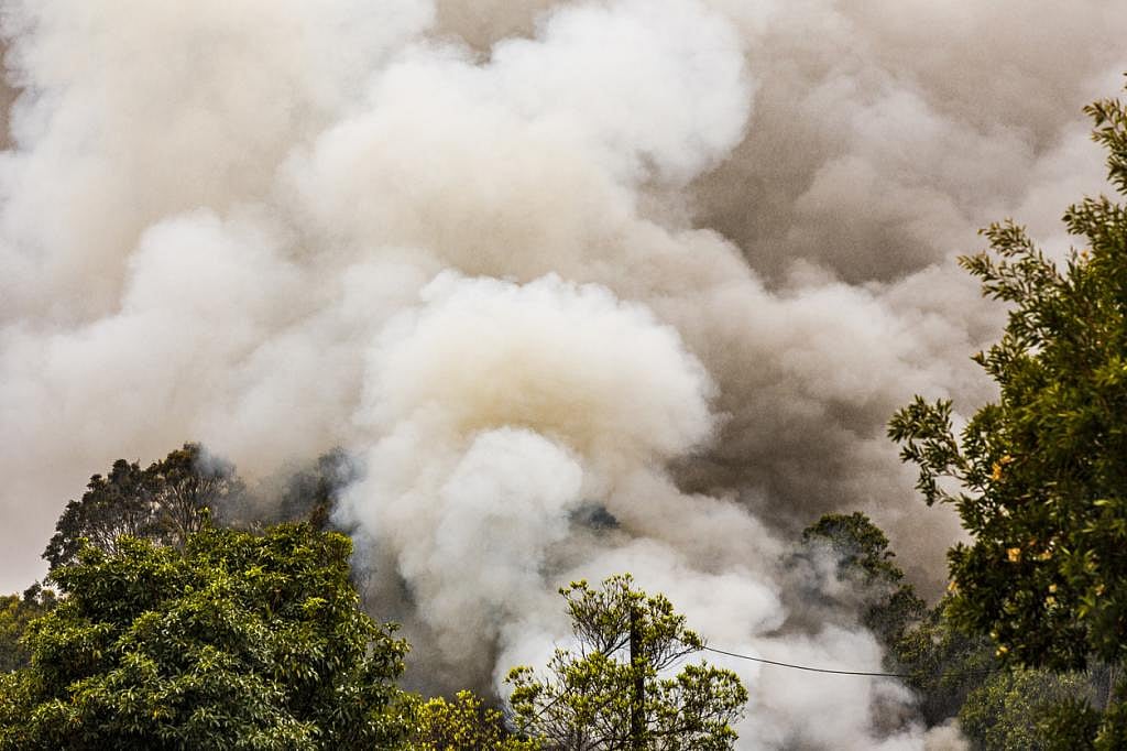 Bushfire smoke eats up the ozone protecting us from dangerous radiation ...