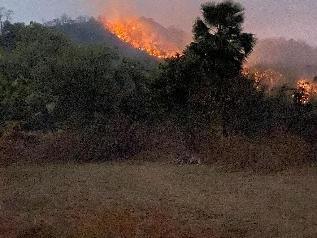 Odisha experiencing the country’s worst forest fires again, 642 ...