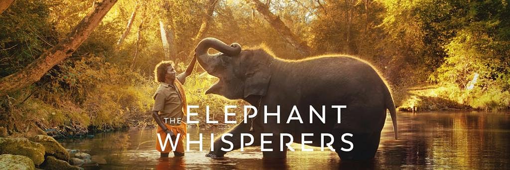 Elephant Whisperers: It can promote a nuanced understanding of the ...