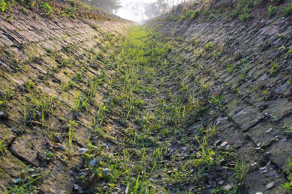 Punjab is a bleak example of India’s groundwater crisis. Here is how