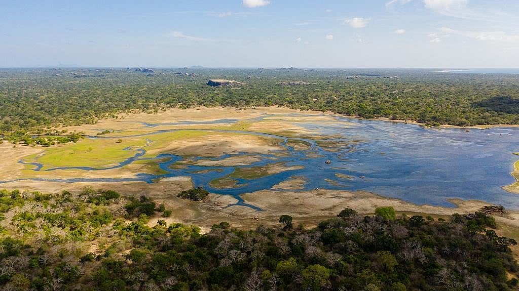 Deep-Sea Acidic Zone Expands: Marine Habitats Under Threat