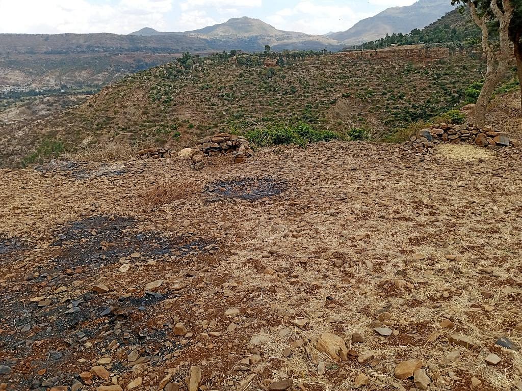 The war on Tigray wiped out decades of environmental progress: How to ...