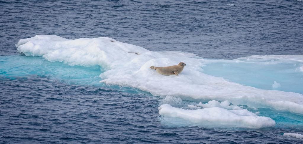 Greenland, Antarctica lost 7,560 billion tonnes of ice sheet mass in ...