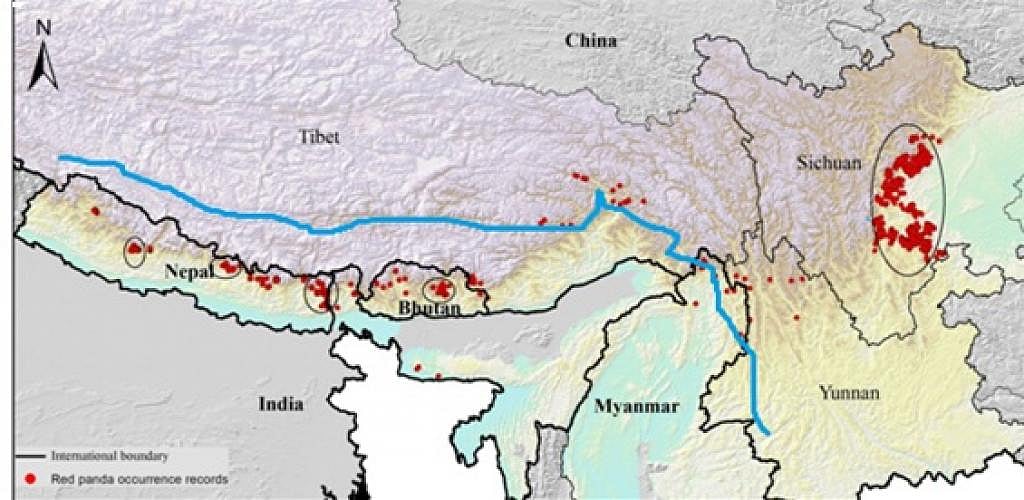 Red Pandas Habitat Map Sichuan Giant Panda Sanctuaries | Natural World