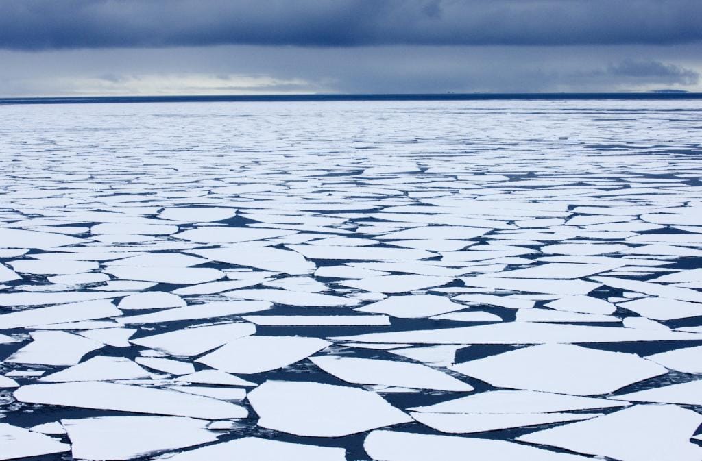 Record low Antarctic sea ice is another alarming sign the ocean’s role ...