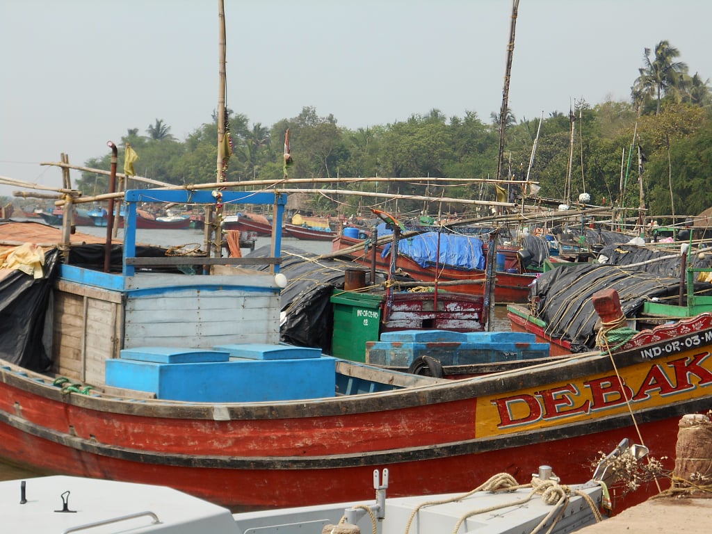 Odisha’s fish stocks are depleting, courtesy warming seas; here’s how