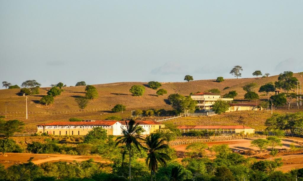How small family farms are adapting to climate change in Brazil
