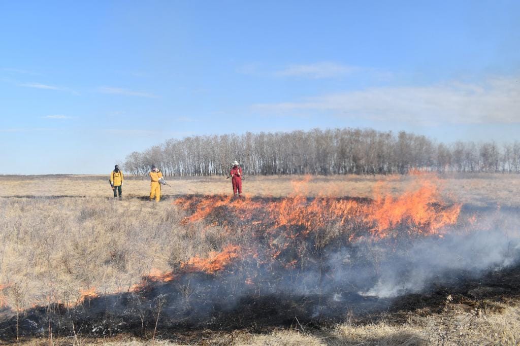 The ‘good fire’: Prescribed burning can prevent catastrophic wildfires ...
