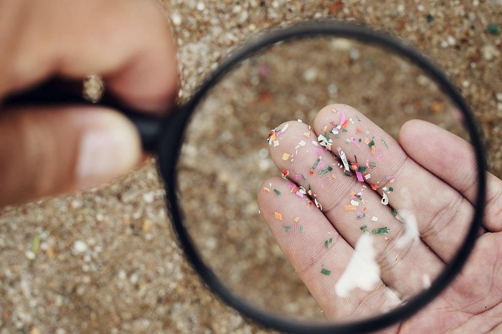Microplastics can alter gut microbiome, cause intestinal inflammation: FAO