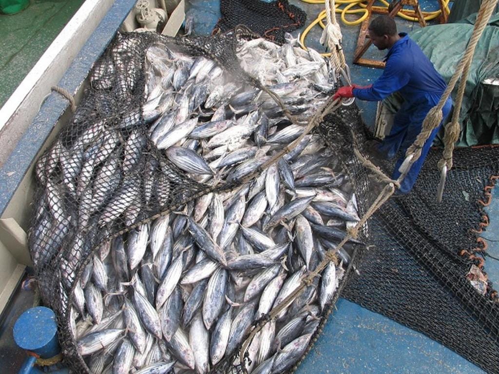 Seabed mining could sink the fishing industry