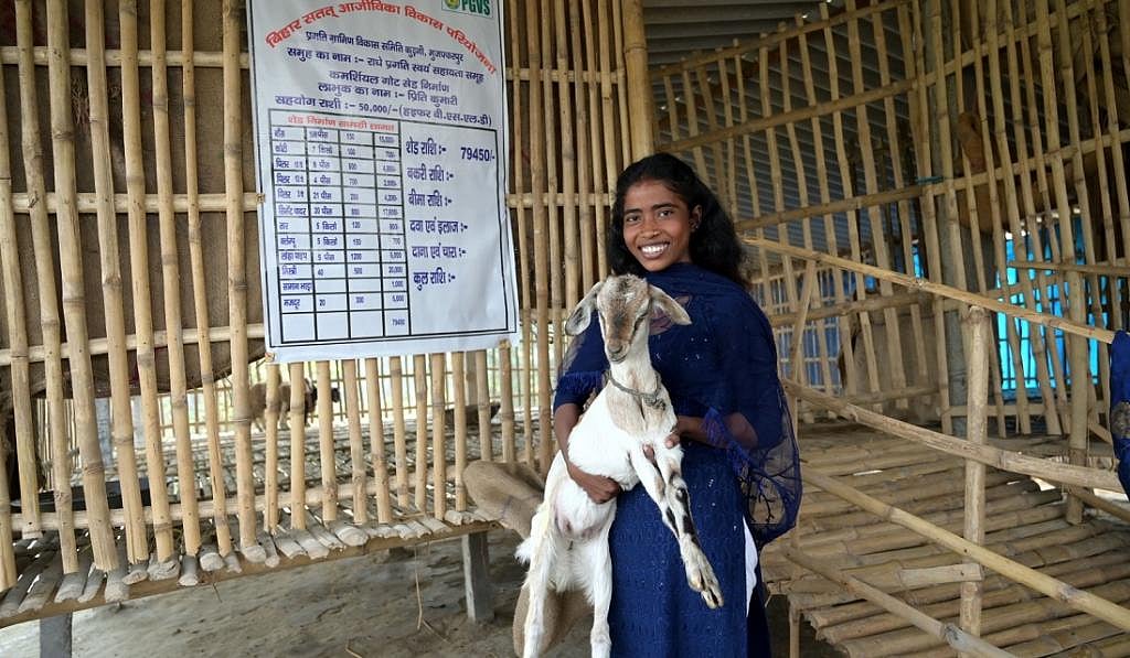 Black Bengal goat farming can aid small farmers in Bihar and Odisha
