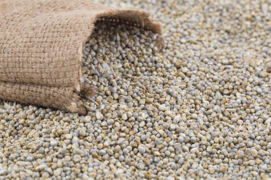 Consider setting up one exclusive shop for millets in every district ...