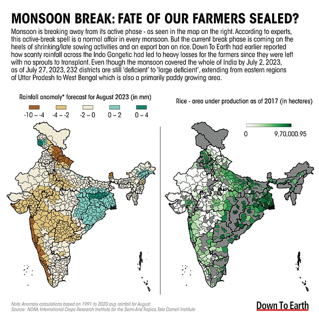 Paddy production will depend on August rainfall in core monsoon zone area