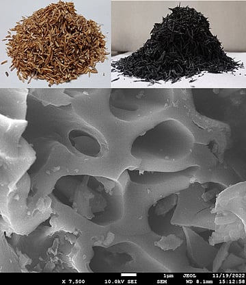 Solution for crop burning? Rice husk biochar found to efficiently ...