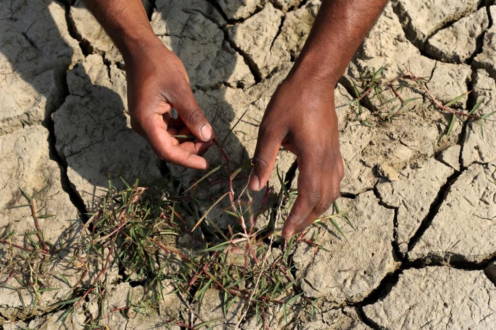 30% of India’s land area experiencing different degrees of drought ...