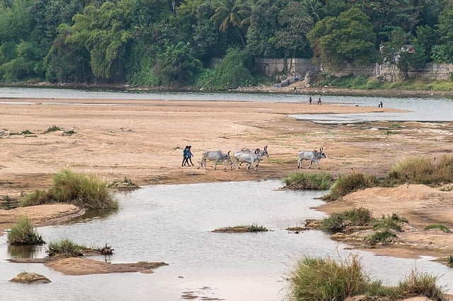Floodplain loss: Basins of Irrawaddy, Tapi, Indus, Cauvery rivers ...