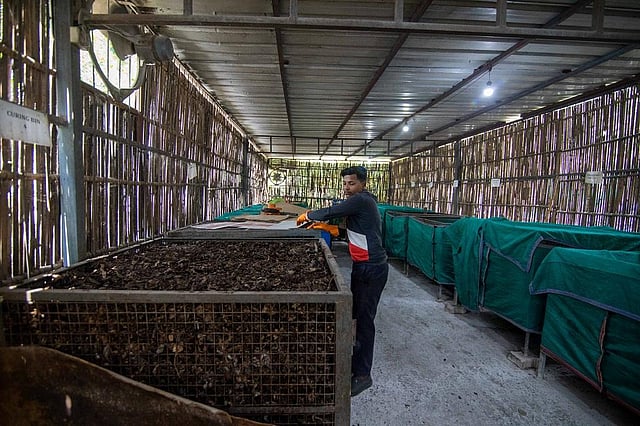 Improving bulk generators’ waste management can address India’s urban ...