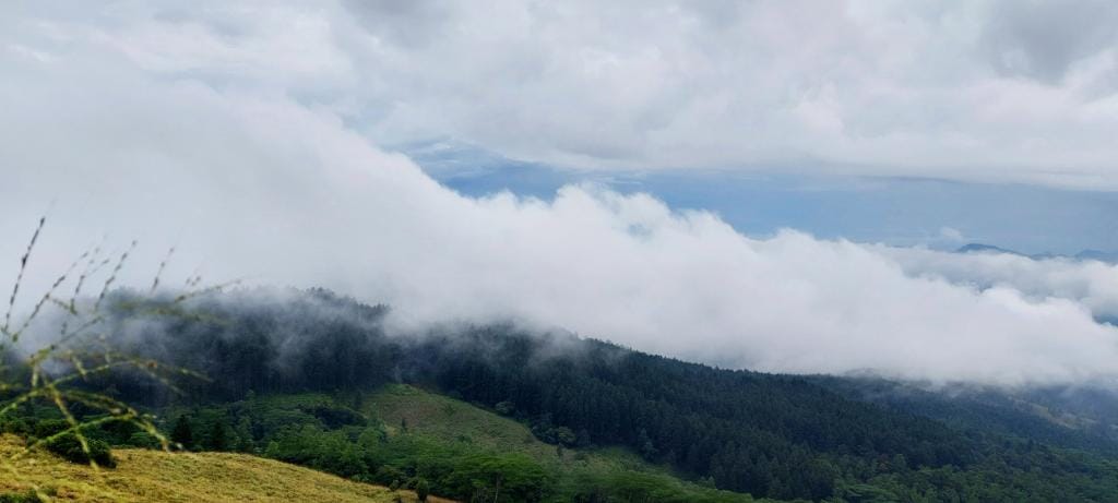 How rising water vapour in the atmosphere is amplifying warming and ...