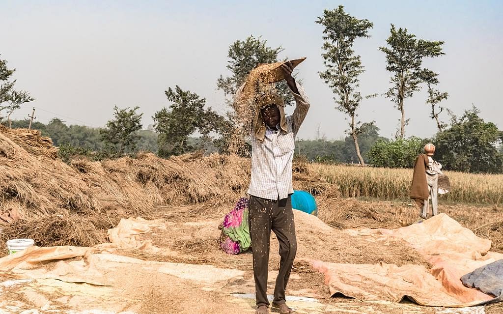 Bihar’s food production has risen during the last 15 years due to ...