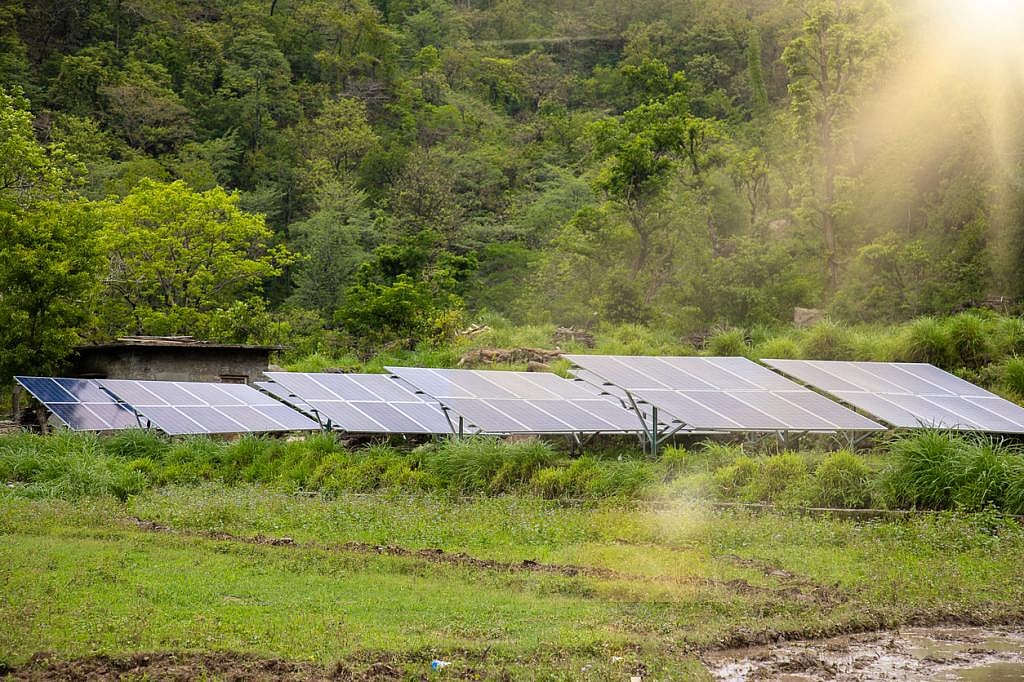 Food systems and COP28: Will Parties agree on a sustainable approach?