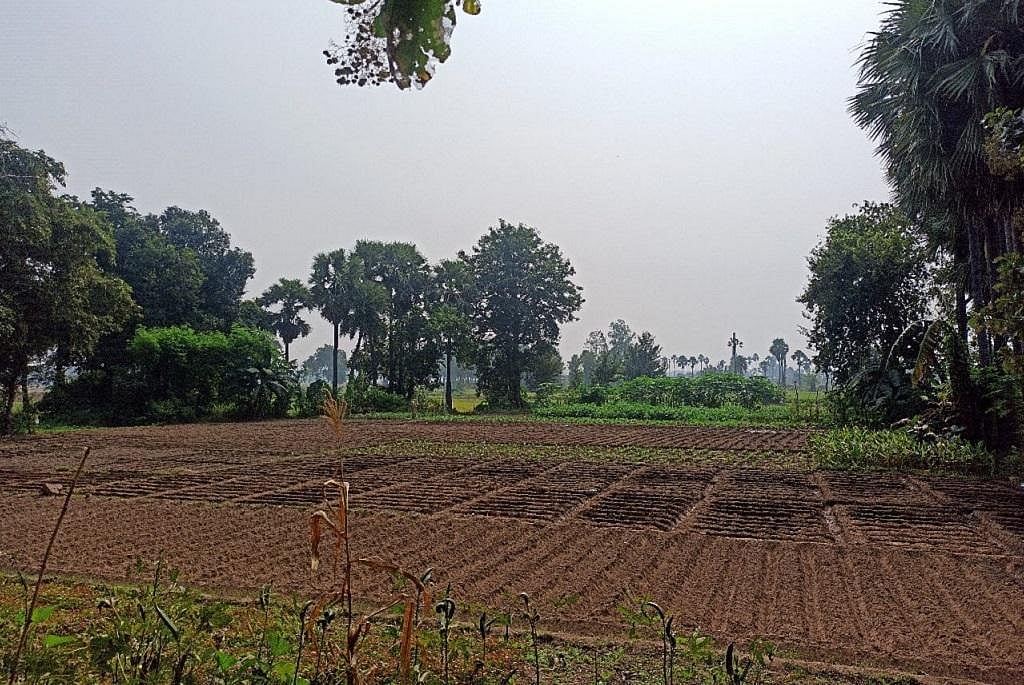 बिहार: सिंचाई के साधन न होने से खेती छोड़ रहे किसान, पलायन को मजबूर युवा