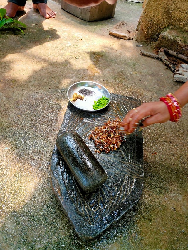 Mayurbhanj’s red ant chutney receives GI tag. Why this is important for ...