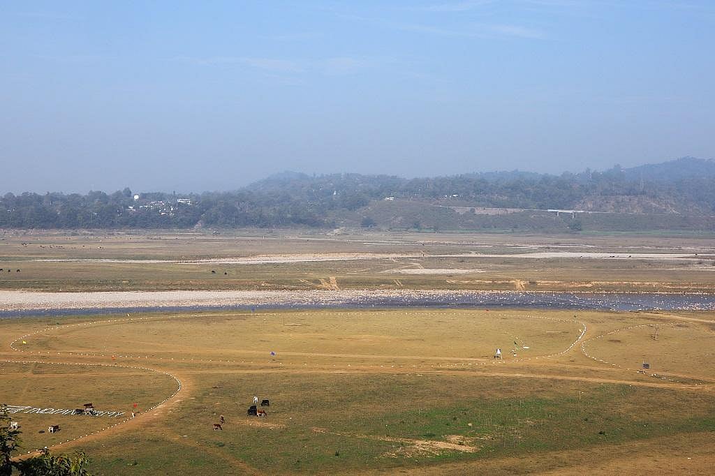 Pong dam eco-sensitive zone: Awaiting rehabilitation for over 50 years ...