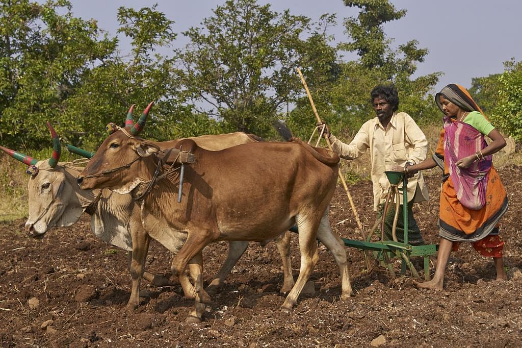 Work capacity of farm labourers in key food-producing areas to reduce ...
