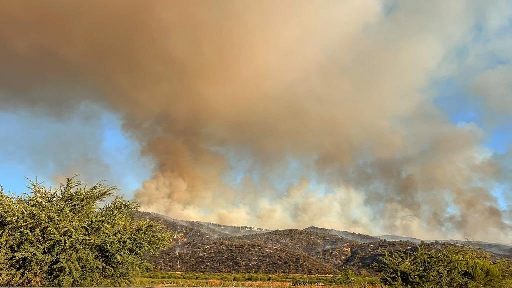 Chile records its deadliest wildfire in 123 years, may be linked to ...