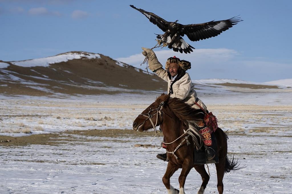 Central Asian Flyway recognised to protect over 600 migratory bird species