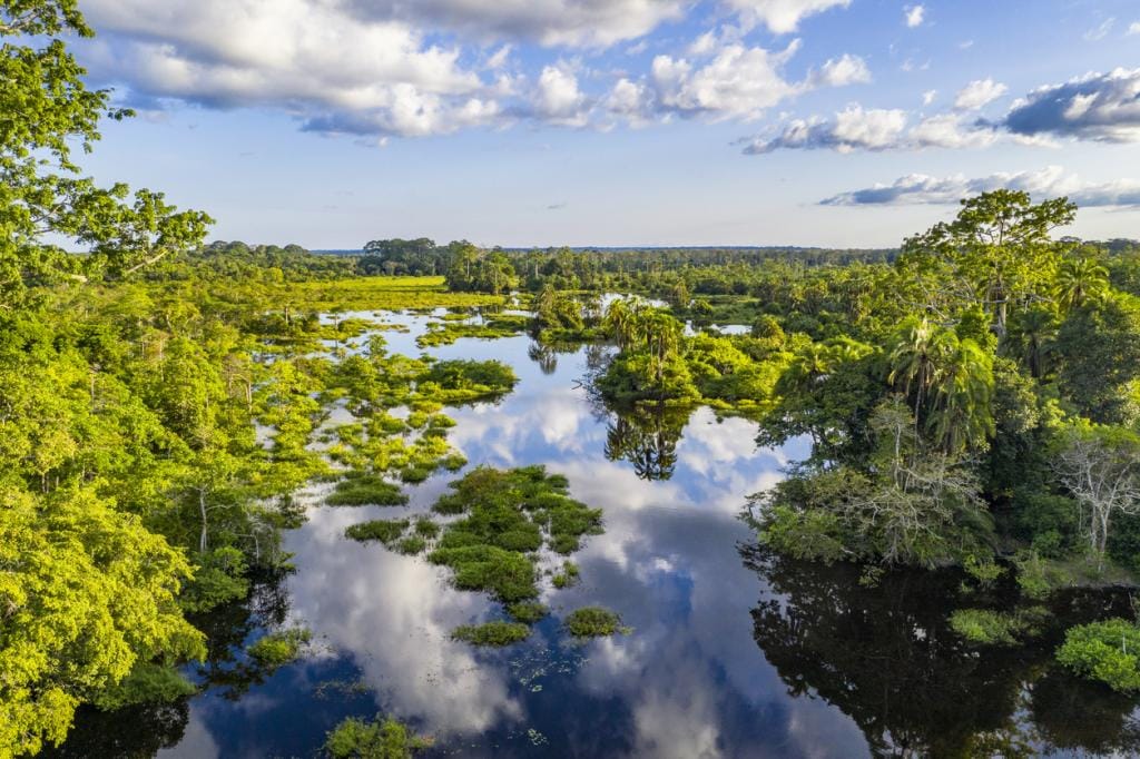NASA-funded study brings together researchers from across the world to ...