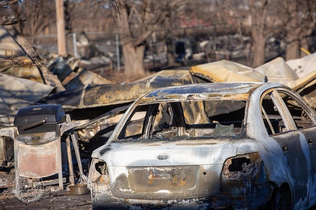 Texas fires: With over 1 million acres of grassland burned, cattle ...