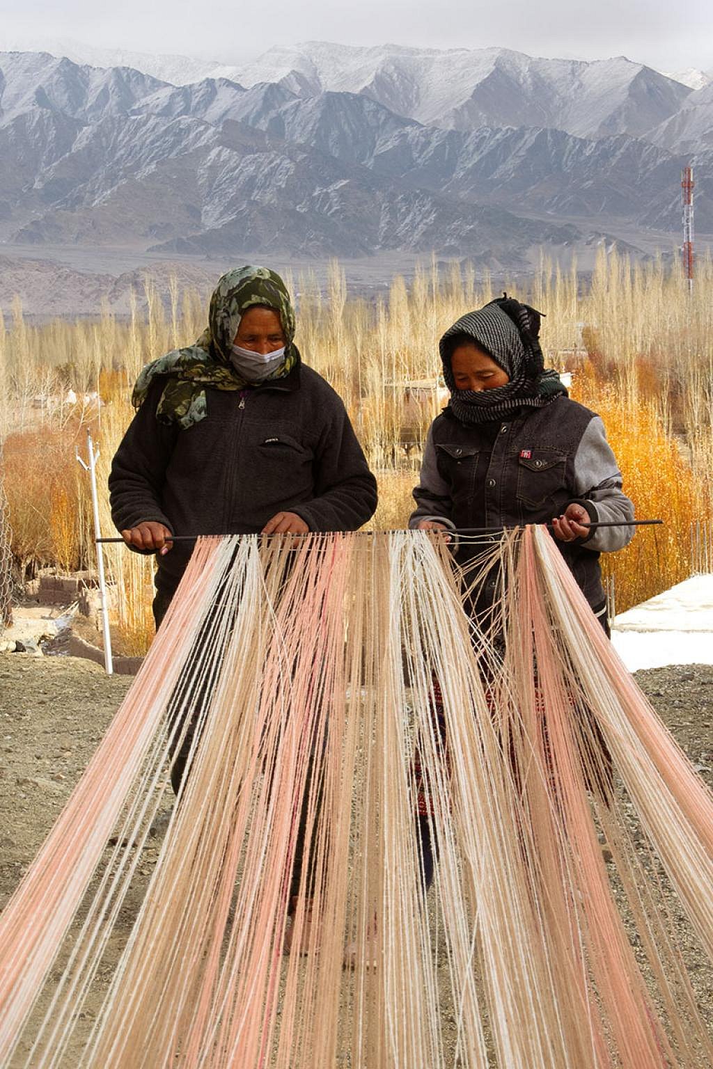 Women’s Day 2024: Ladakh’s looms of life