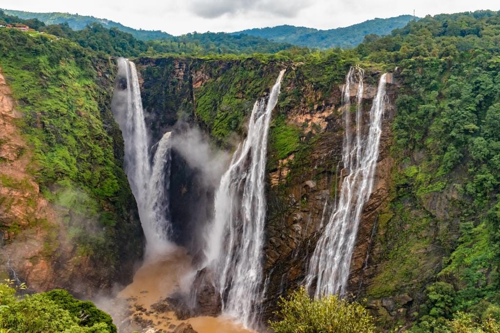 Concerns raised over rushed tender process for Rs 8,005 crore ...