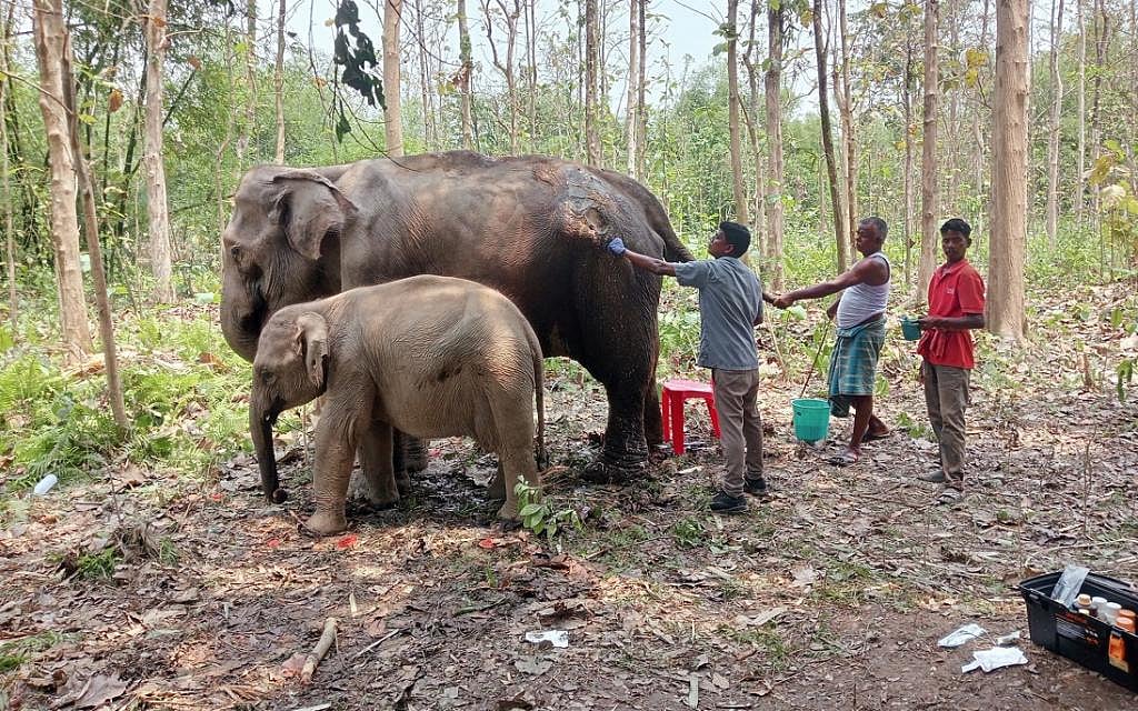 DTE Impact: Assam-based activist writes to Supreme Court; demands ...