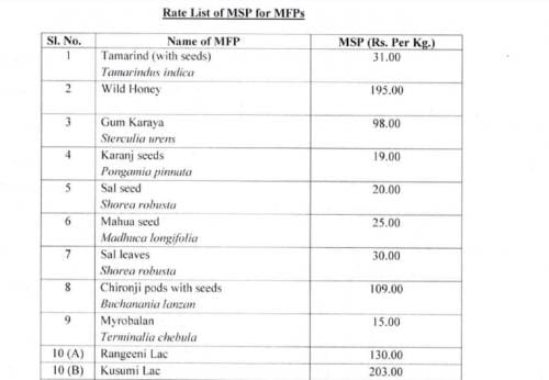 Nine new items added to MSP for minor forest produce scheme