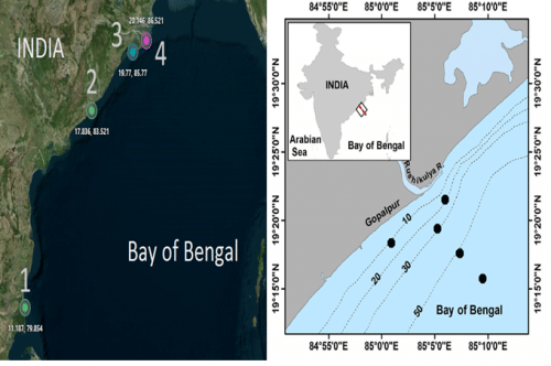 New study helps monitor trends in phytoplankton biomass in Bay of Bengal