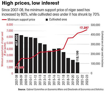 Illusive oilseed: India’s niger seed cultivation is declining; here is why