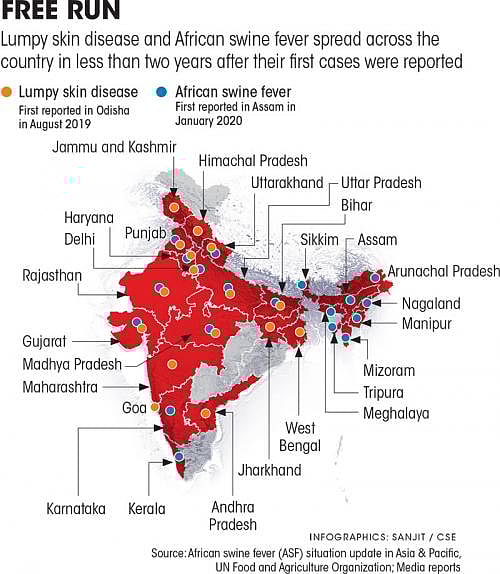 Lumpy Skin Disease outbreak shows livestock diseases are not just about ...