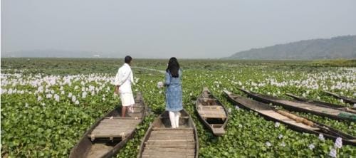 How locals are trying to save the dying Deepor Beel