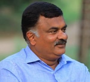 Interest in indigenous cattle breeds like the Pulikulam is reviving ...