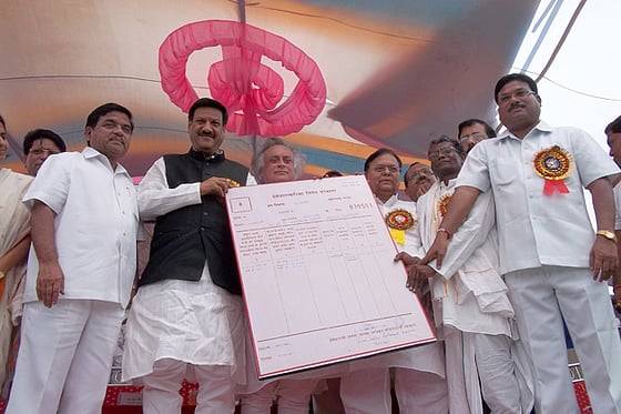 How bamboo was liberated