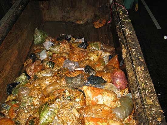 Waste: Uncovering the Global Food Scandal