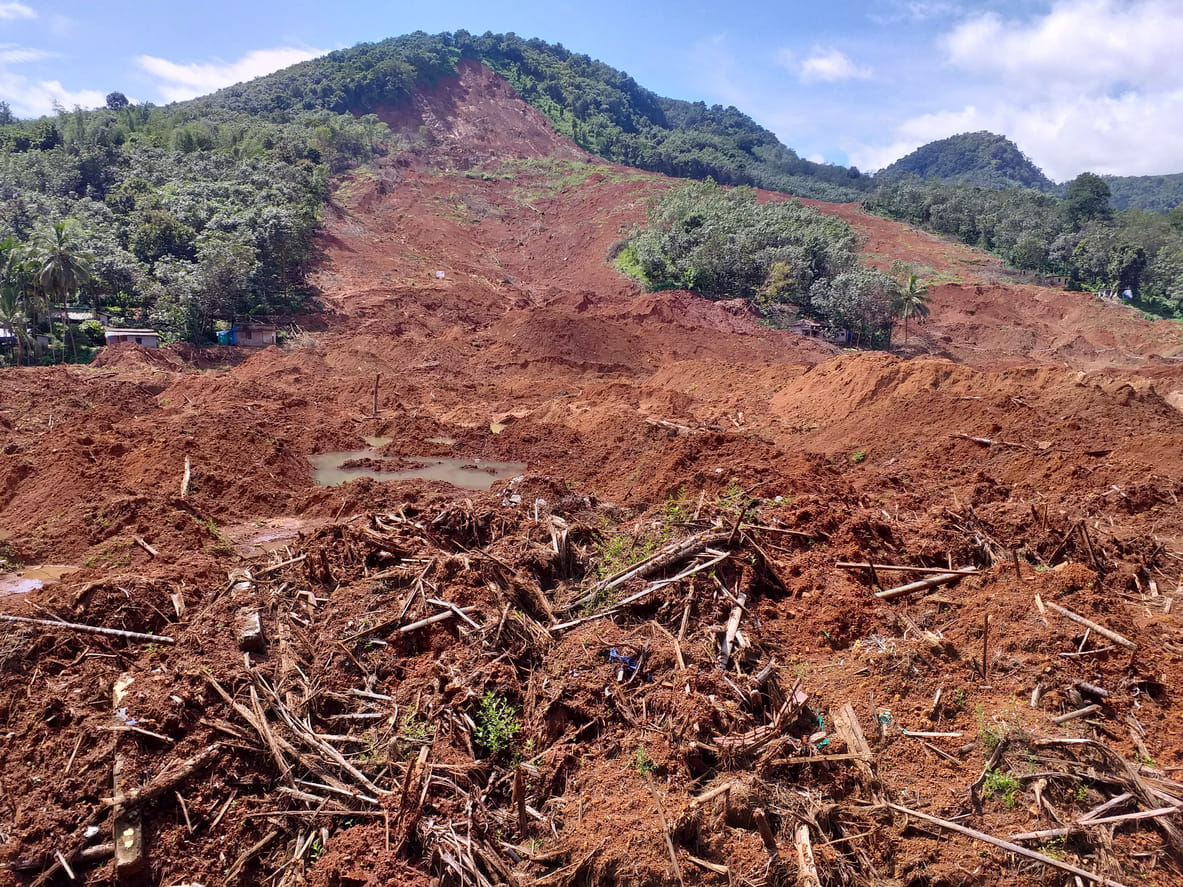Can reforestation prevent fatal landslides? Exploring the role of trees ...