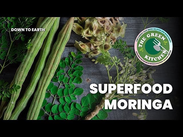 The Green Kitchen: Moringa, the most nutritious superfood in the world