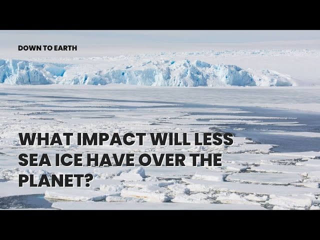 What impact will less sea ice have over the planet?