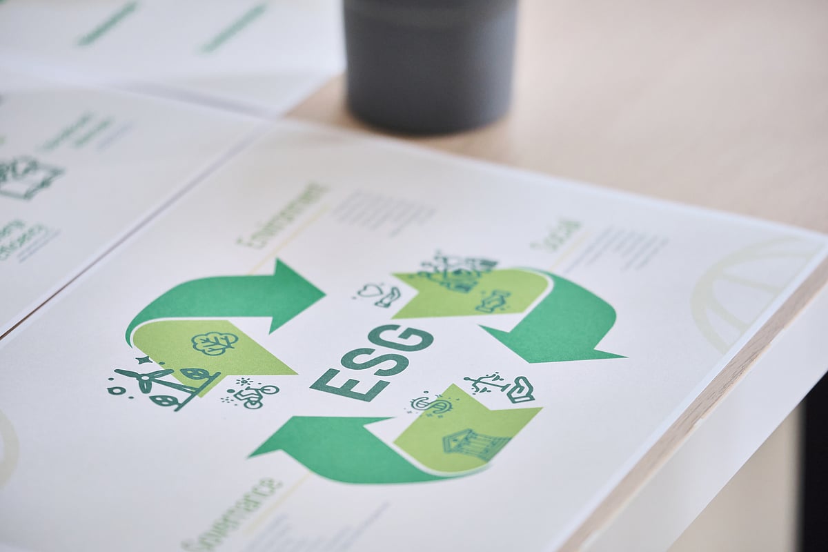 How Eco-labels Can Promote Responsible Consumption and Production