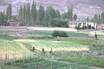 Ladakh's Scorching Summer: Experts Blame Rainfall Deficit for ...