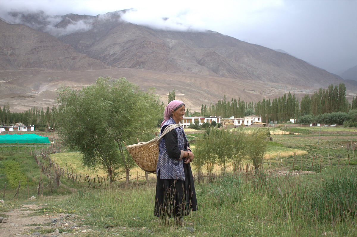 Ladakh's Scorching Summer: Experts Blame Rainfall Deficit for ...
